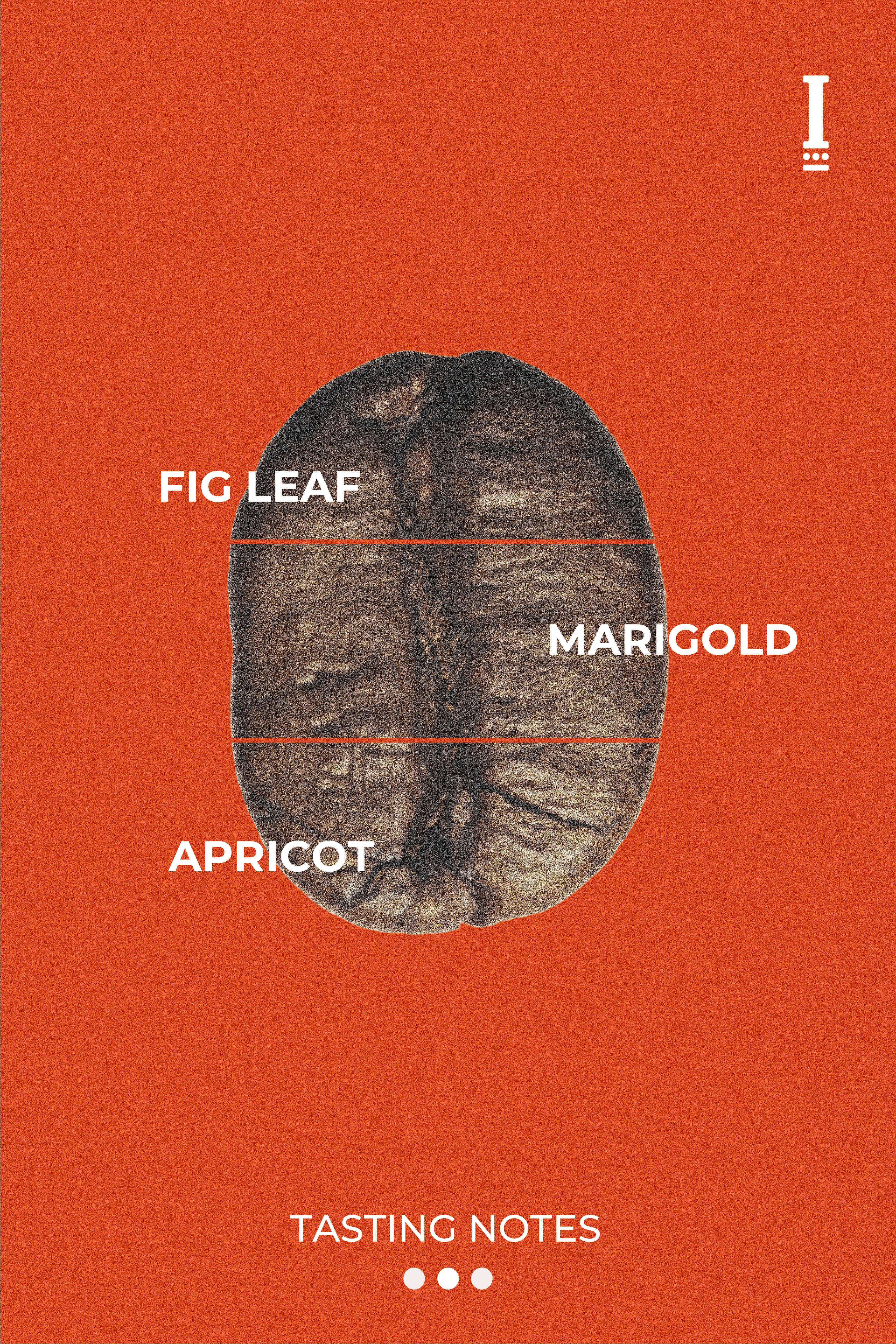 Buy Specialty Coffee Online Corridor Seven Coffee Roasters