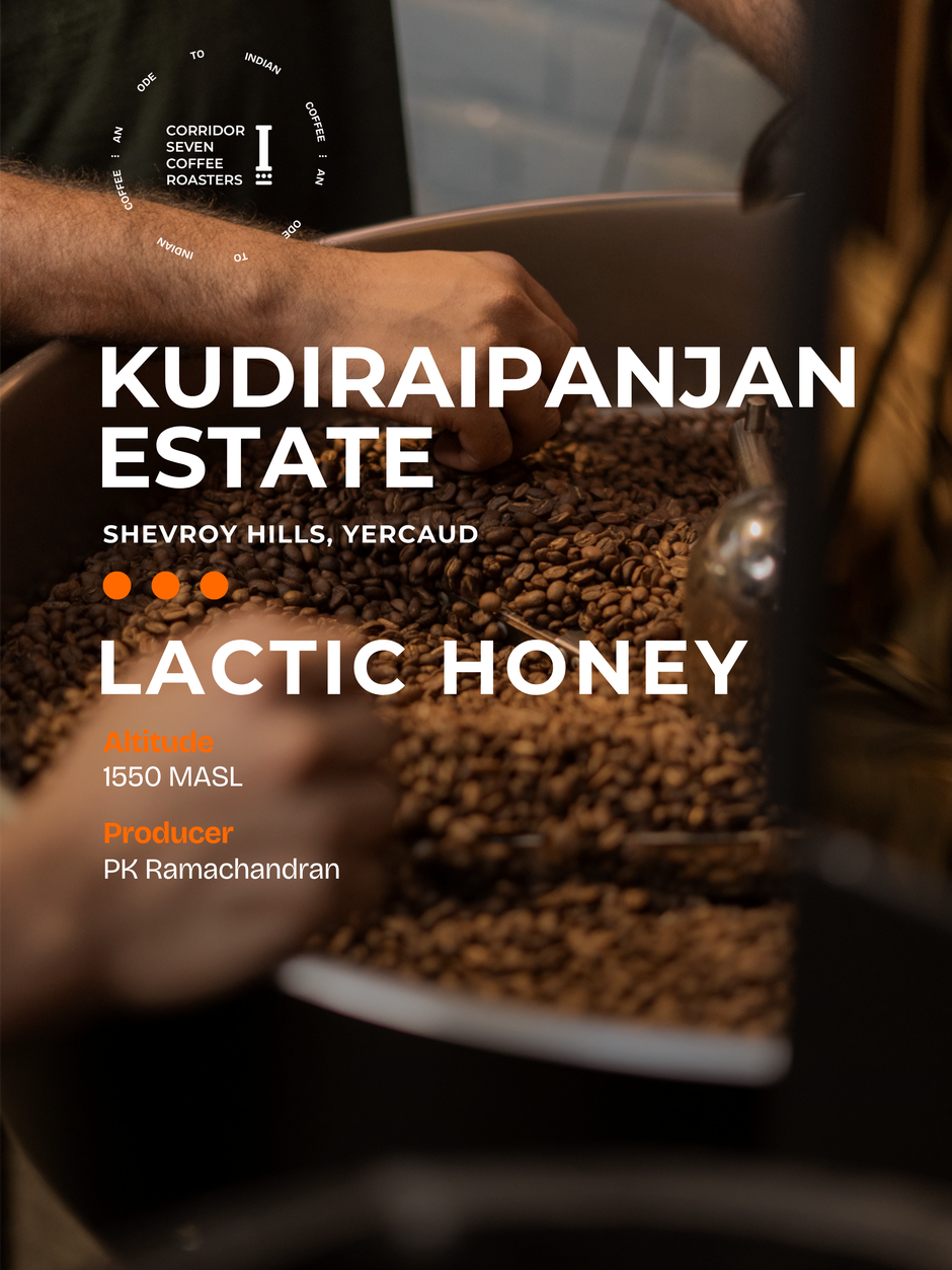 Buy Specialty Coffee Online Corridor Seven Coffee Roasters
