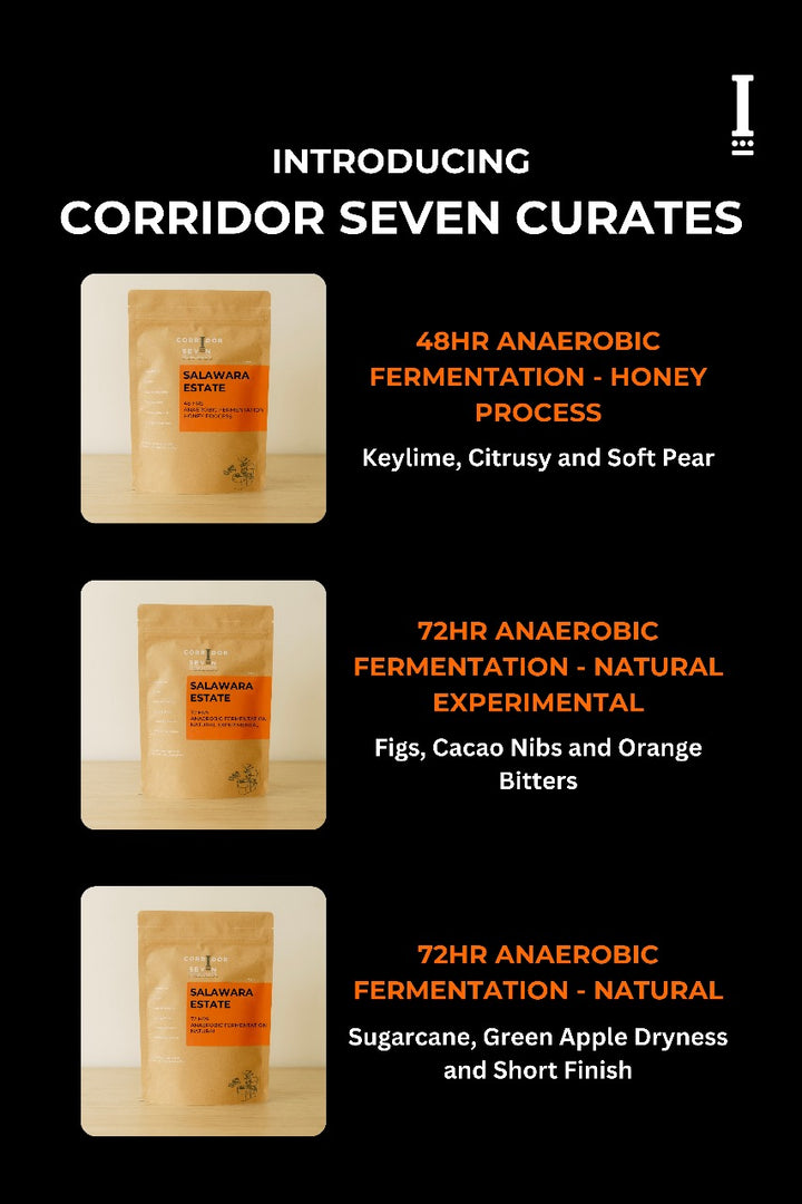 Buy Specialty Coffee Online Corridor Seven Coffee Roasters