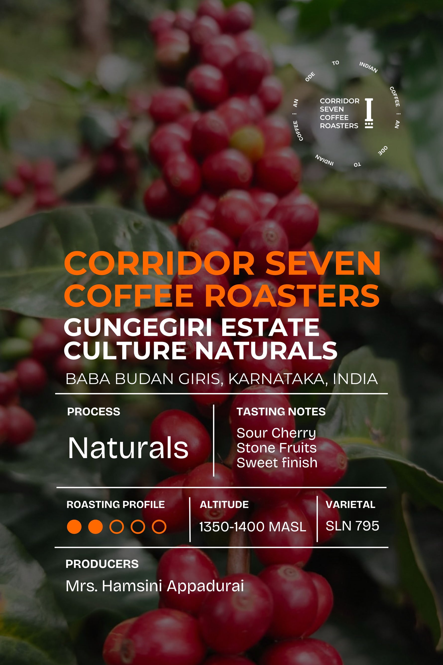 Buy Specialty Coffee Online Corridor Seven Coffee Roasters