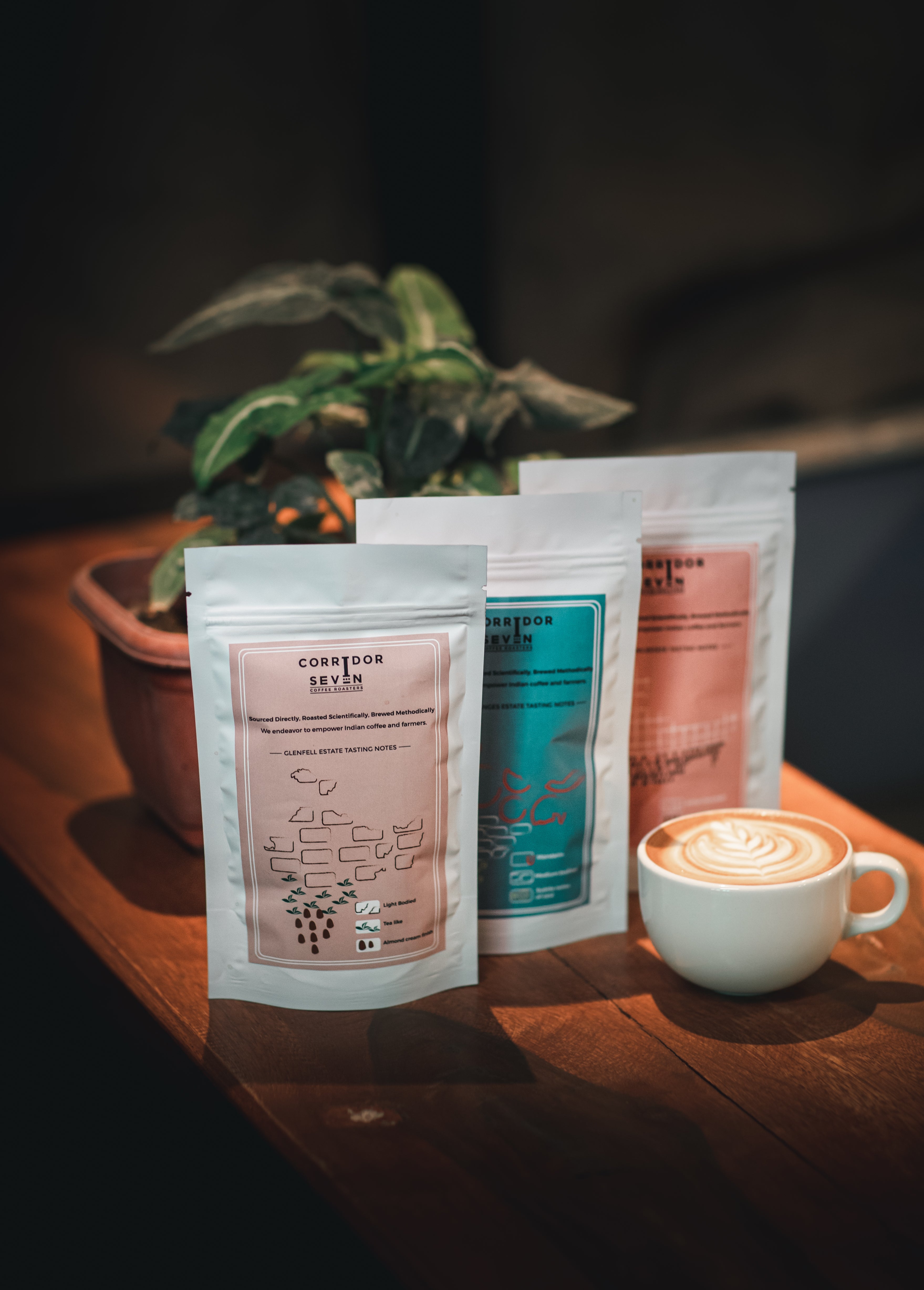 Coffee Sampler Pack | Try Our Selection